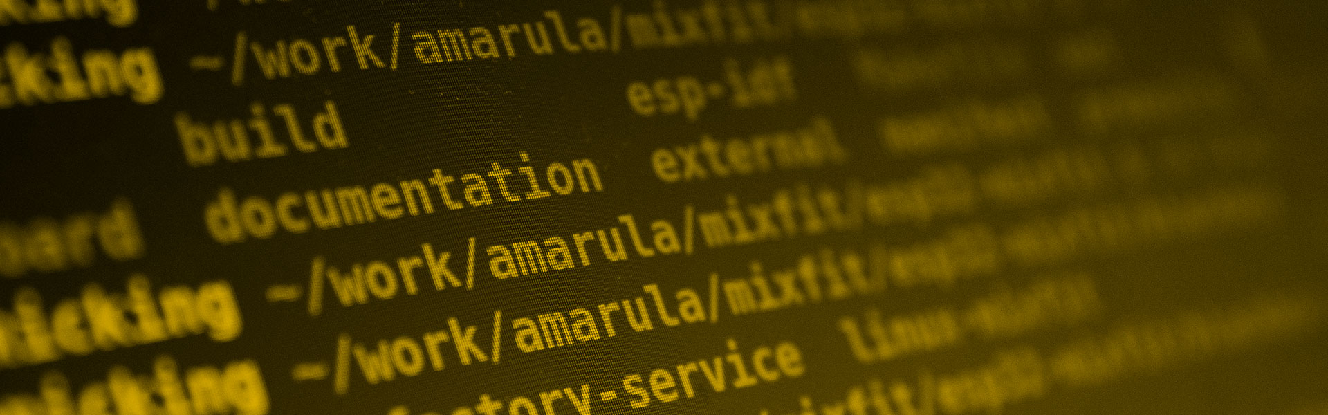 Services - Amarula Solutions